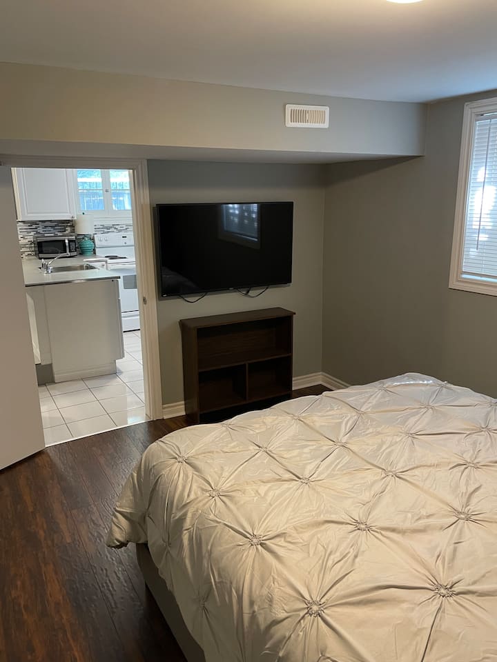 Entire 1 Bedroom Apartment With Free Parking! - London, Ontario