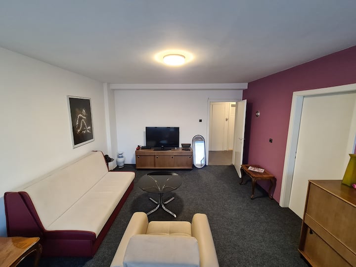 Cozy Apartment Sarajevo Center (National Theater) - 塞拉耶佛