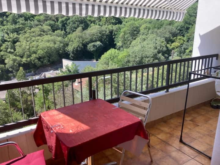 Studio Climatisé 3 * Terrasse à 100 M De La Cure - Amélie-les-Bains-Palalda
