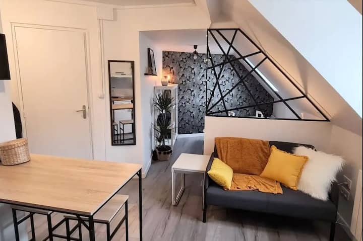 Chez Jeannine, Charmant Studio Au Centre-ville - Dijon