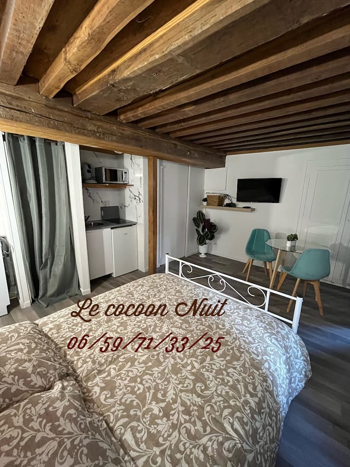 Le Cocoon Nuits - ibis Nuits Saint Georges