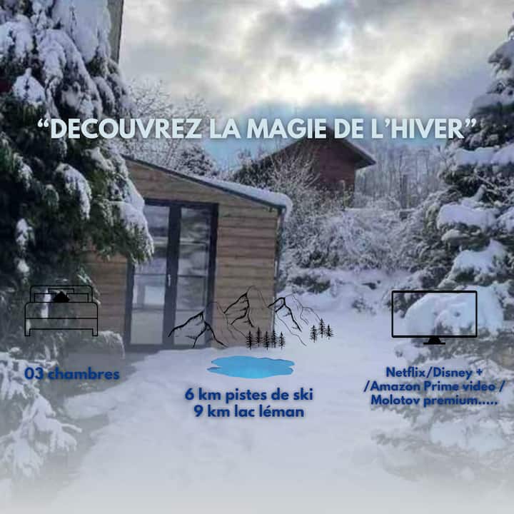 La Villa D'oche - L'appartement - 3 Ch En Montagne - Meer van Genève