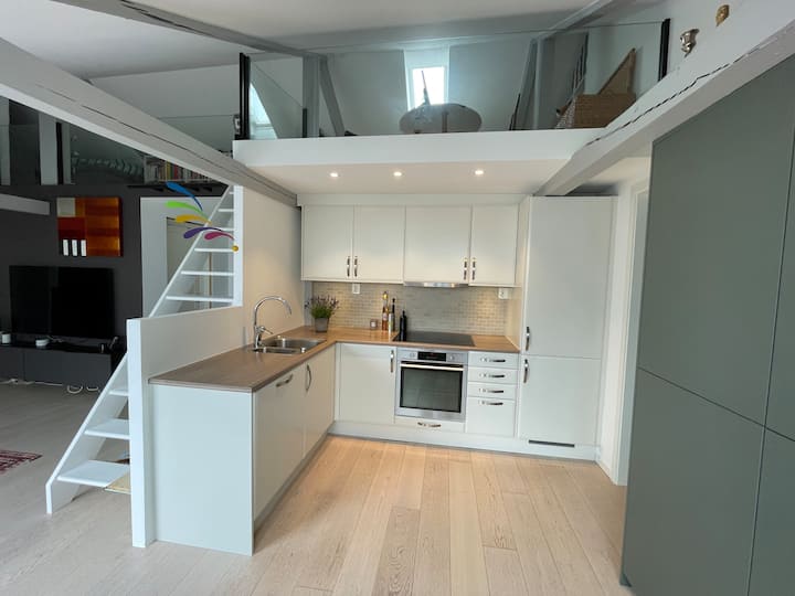 Loft Apartment. Three Bedrooms, Two Bathrooms. - Oslo