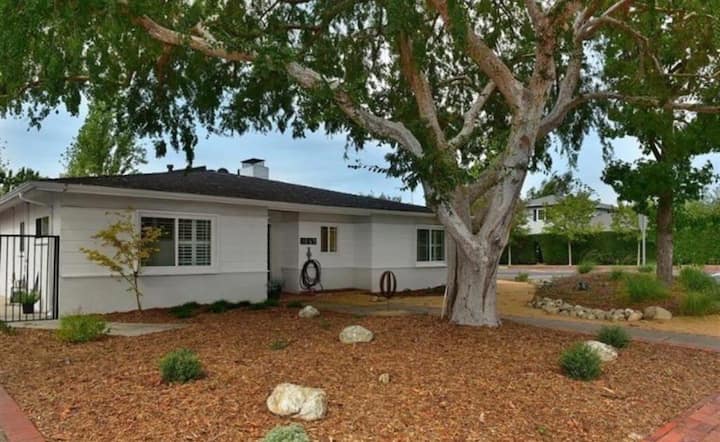 Light Filled Modern Midcentury Charmer In Pasadena - Pasadena