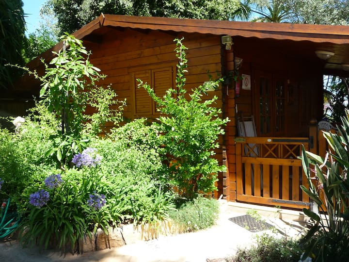 Petit Chalet Studio Très Cosy, 20 M² Au Calme - Biot