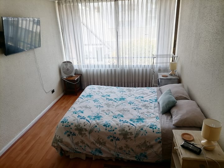 Bello Depto A Pasos Costanera En Providencia - Providencia