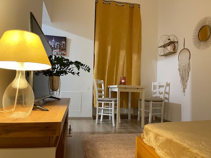 Smarthome Studioapartment T3b - Graz