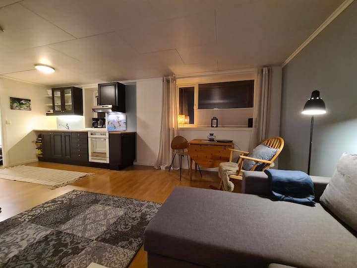 Koselig Leilighet Sentralt I Tromsdalen - Tromsø