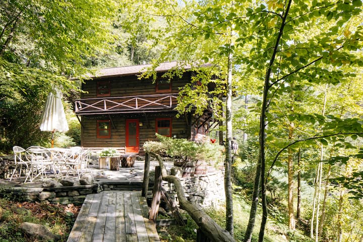 Cozy Forest Cabin | Fire Pit & Trails Nearby - Phoenicia, NY