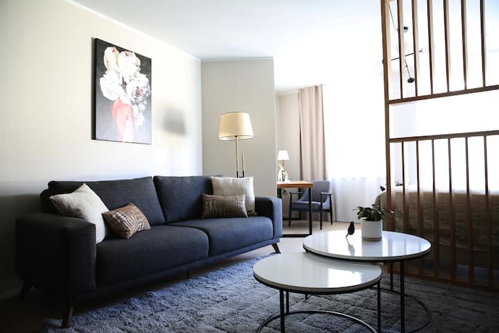 Modern Eingerichtetes Serviced Apartment In Zürich - Zürich