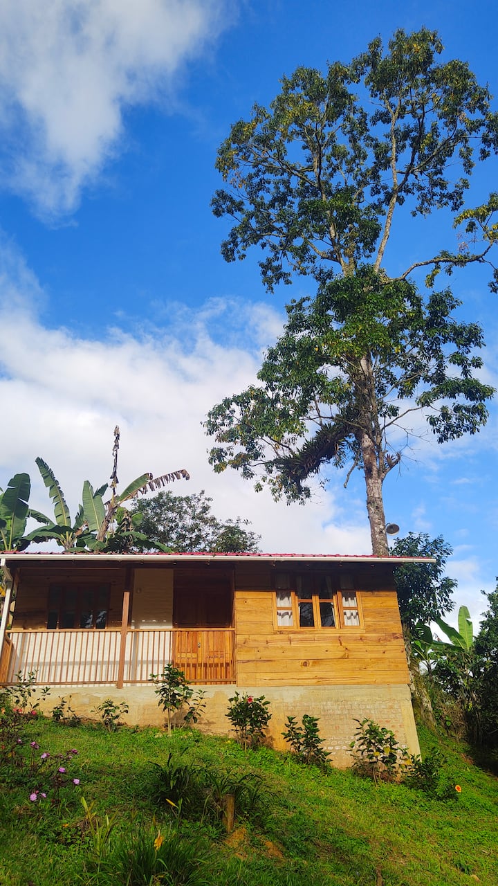 Cabaña La Dicha, Detox En La Montaña - La Cumbre