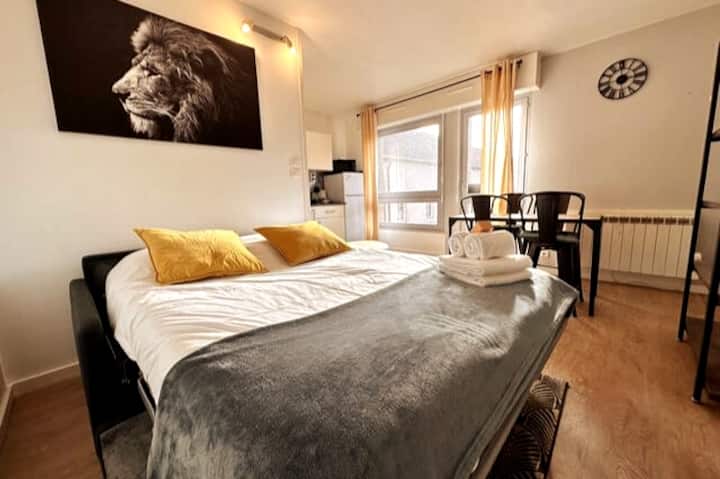 Lion - Vesoul