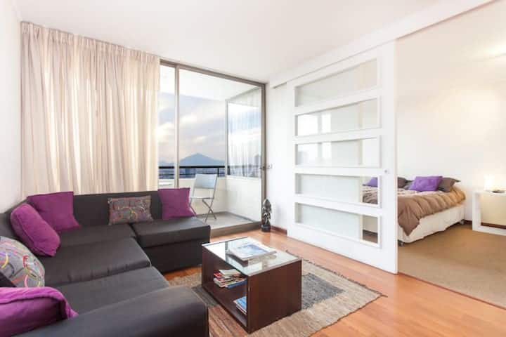 Forestal Park/ Beautifull Sunset View - Santiago