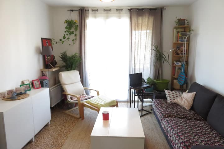 Toulouse, Appartement Lumineux Et Confortable - Toulouse