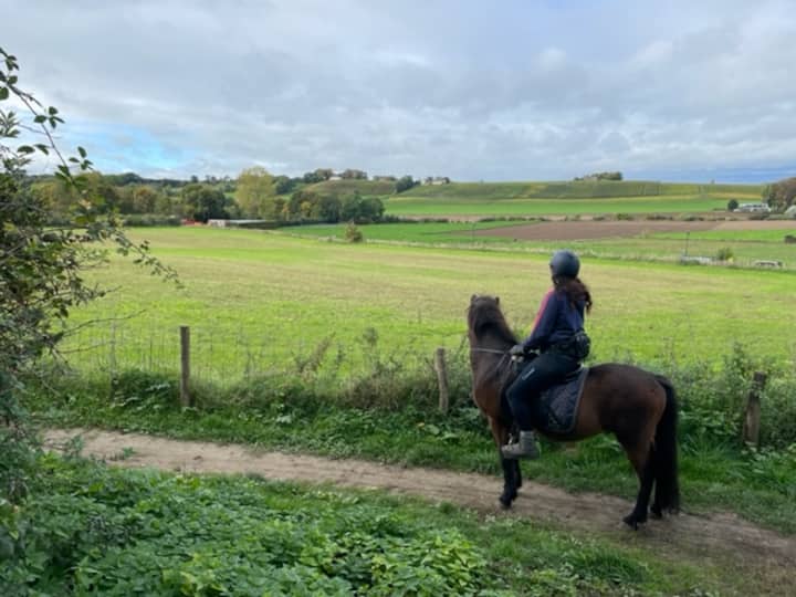 Prachtig Gelegen Huis - Maastricht