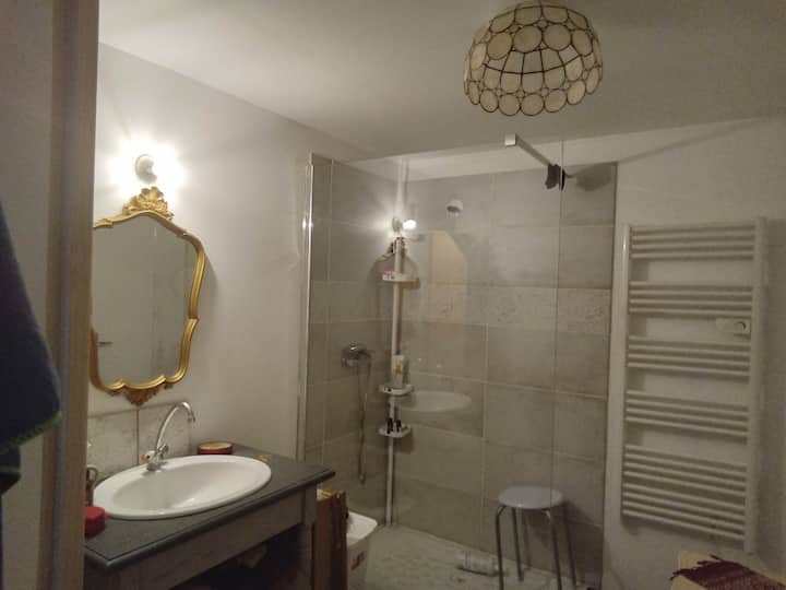 Maison Avec Chambre Privée Sur Ronchin - Lille