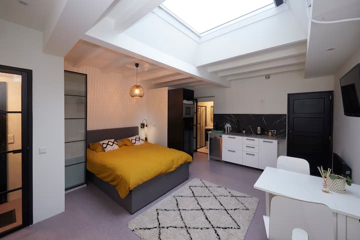 B&b De Halve Maen In Haarlem - Hoofddorp