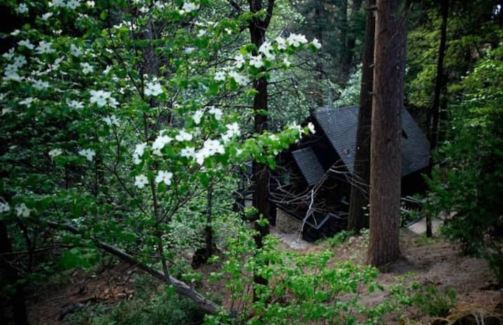 Forest Canopy & Hideaway With Spa, Lake Arrowhead - Lake Arrowhead, CA