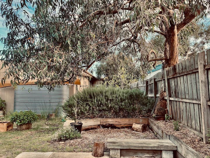 Pardalote Place - Anglesea