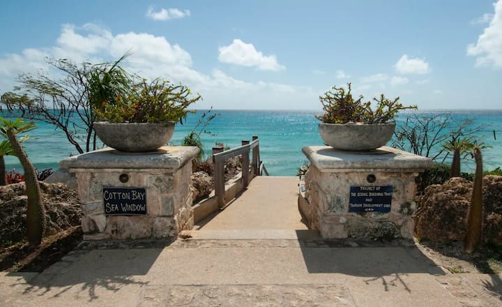 Coastal Shells Apartment - Barbados