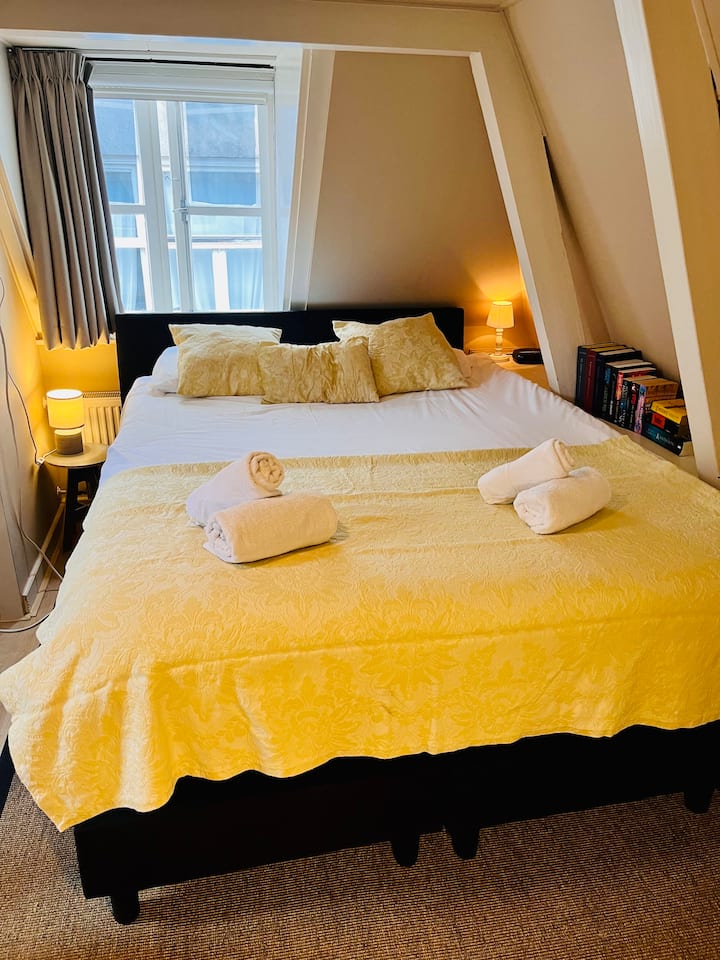 Quiet Penthouse Room With Airco In City Center! - Amsterdam