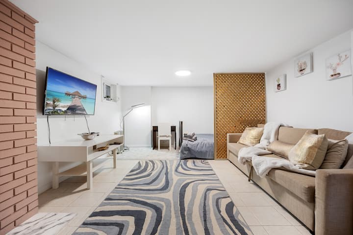 Fantastic Bachelor Basement Apt - Toronto