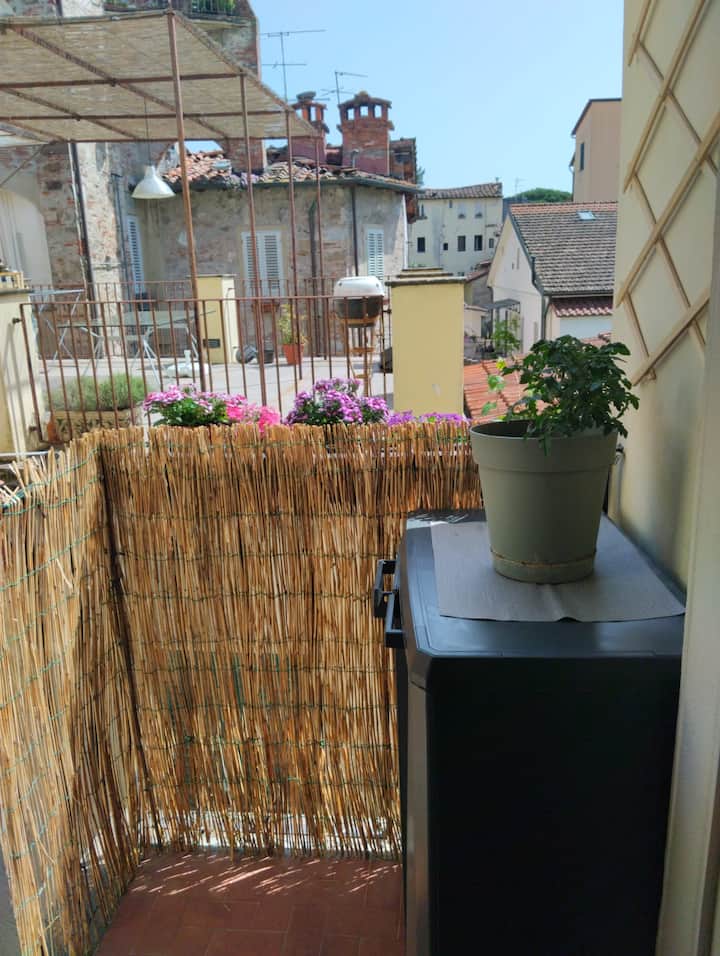 Appartamento Lilia - Lucca