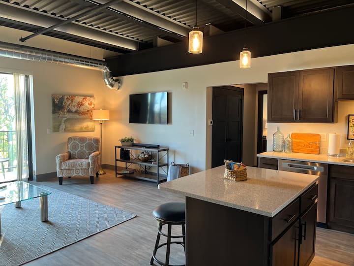 Downtown Luxury -  Apartment 304  W/ Balcony - Kalamazoo, MI