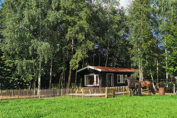 Chalet Op Groene Locatie. - Zaltbommel