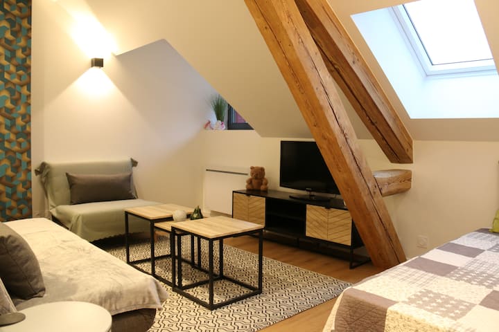 Appartement Du Mont Forchat - Bellevaux