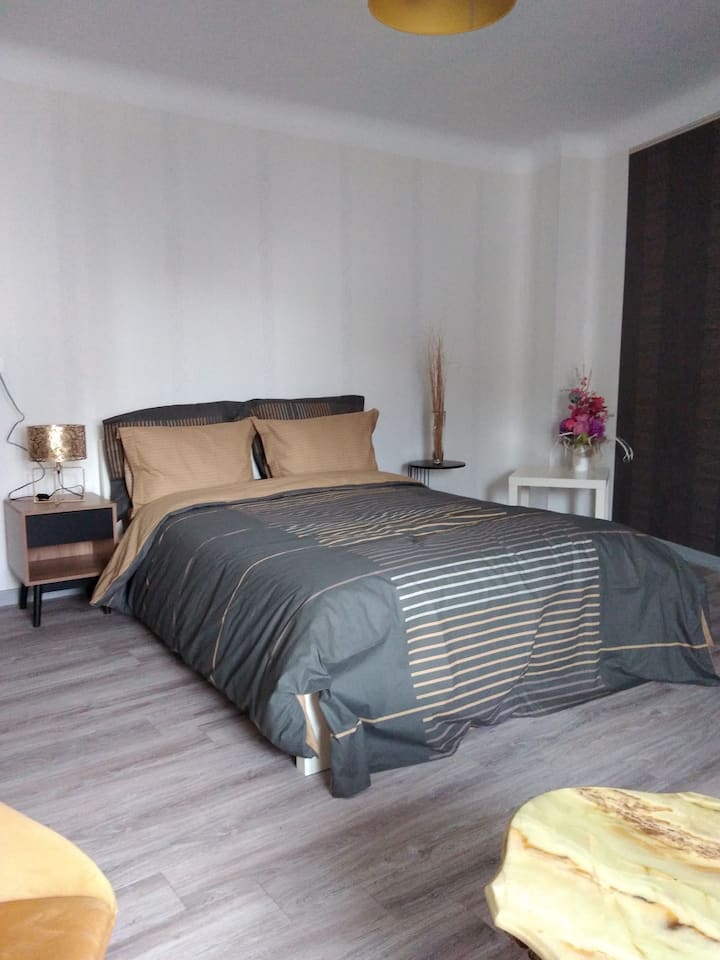 Appartement Spacieux Charme "Chez Clarisse" - Freyming-Merlebach