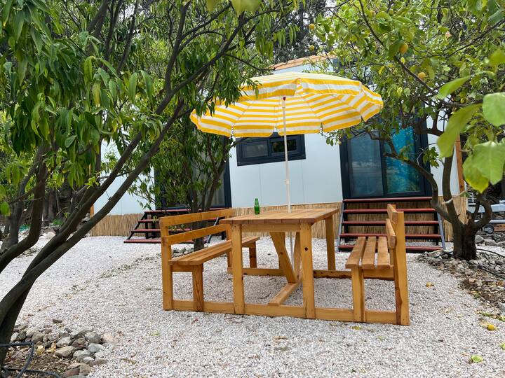 Vadide Mandalina Ağaçlarının Gölgesinde Küçük Ev - Karaburun