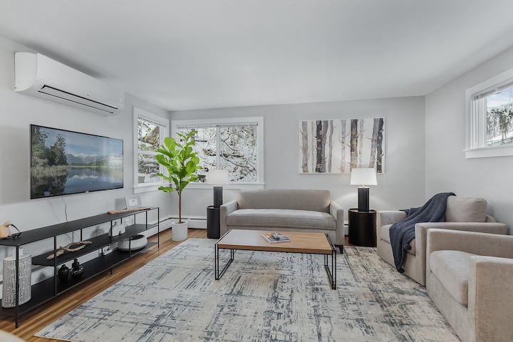 Modern Newly Remodeled 1 Bedroom - New Hope, MN