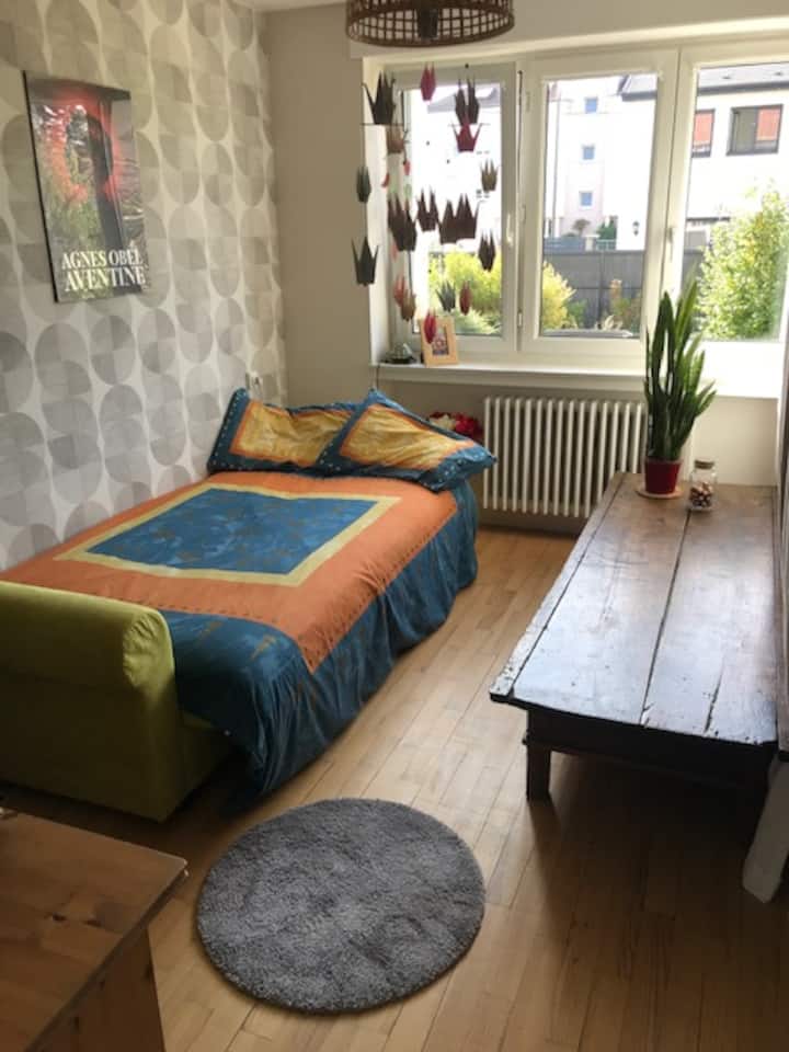 Jolie Chambre Dans Quartier Tranquille + Verdoyant - Metz