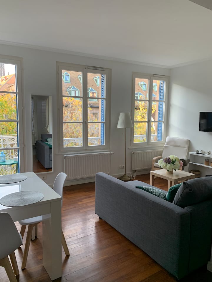 Charmant 2 Pièces Au Centre Ville à Strasbourg - Strasbourg