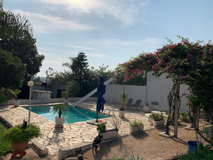 Casa De Campo No Interior De Sp , Com Piscina. - Porto Ferreira