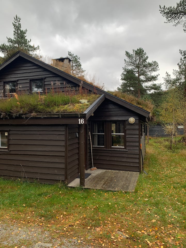 Koselig Hytte På Sageneset Nr.16 - Sinnes