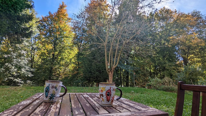 Charmant Appartement Face à La Forêt Fribourgeoise - Fribourg