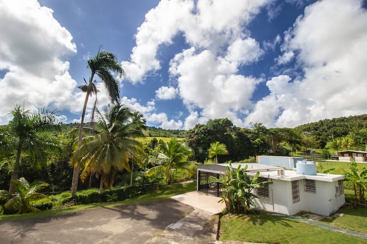 Casita Bella, Tropical Homestead - Puerto Rico