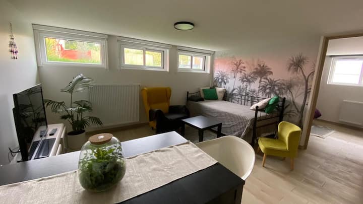 Tout Près De Paris, Maison Dans Un Jardin Exotique - Houilles