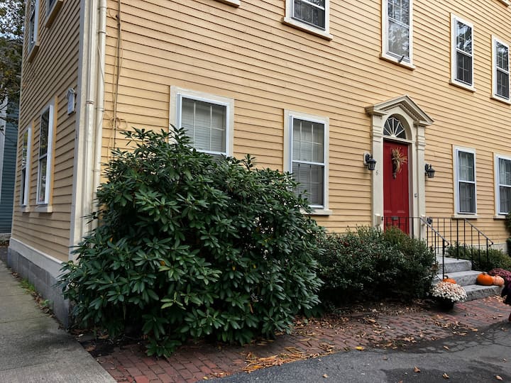 Cozy Salem Common Apartment In The Heart Of Salem! - Salem