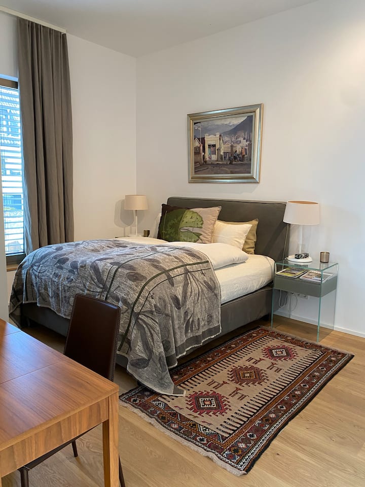 Luxurious Apartment, Close To The Rhine River - Bonn
