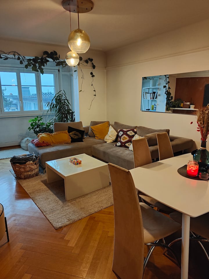 Appartement De Qualité - Lausanne