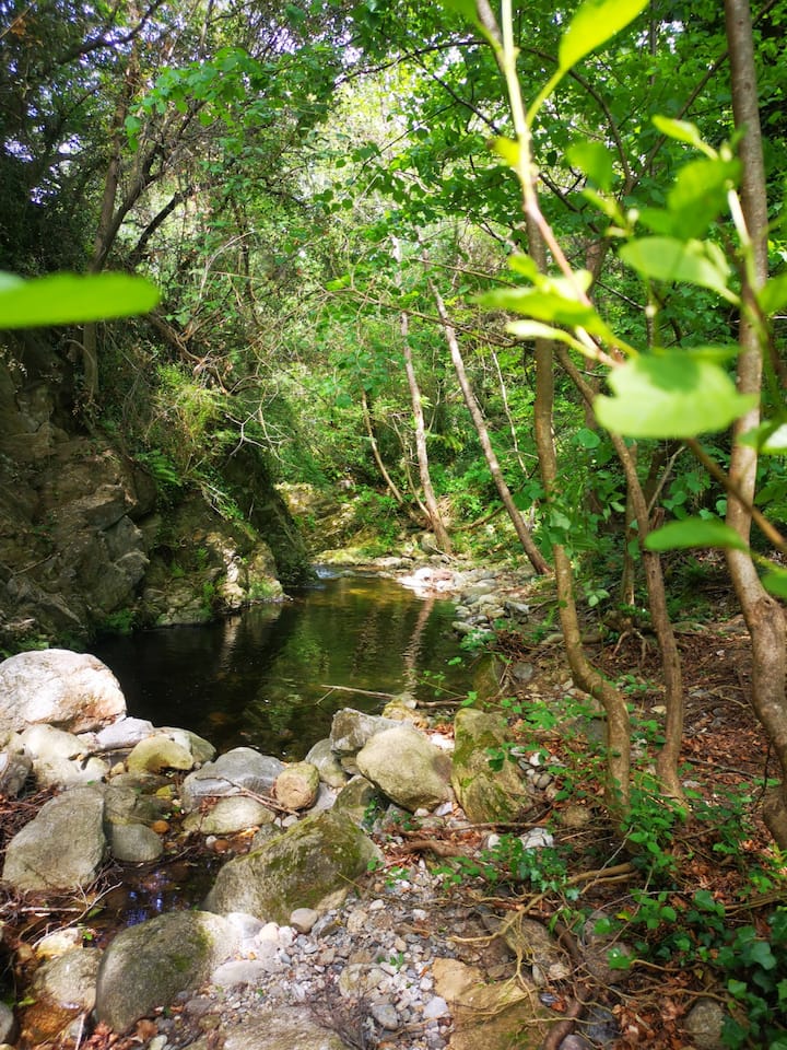Domaine 3 Gîtes 24 Personnes Rivière Petit Paradis - Costa Brava