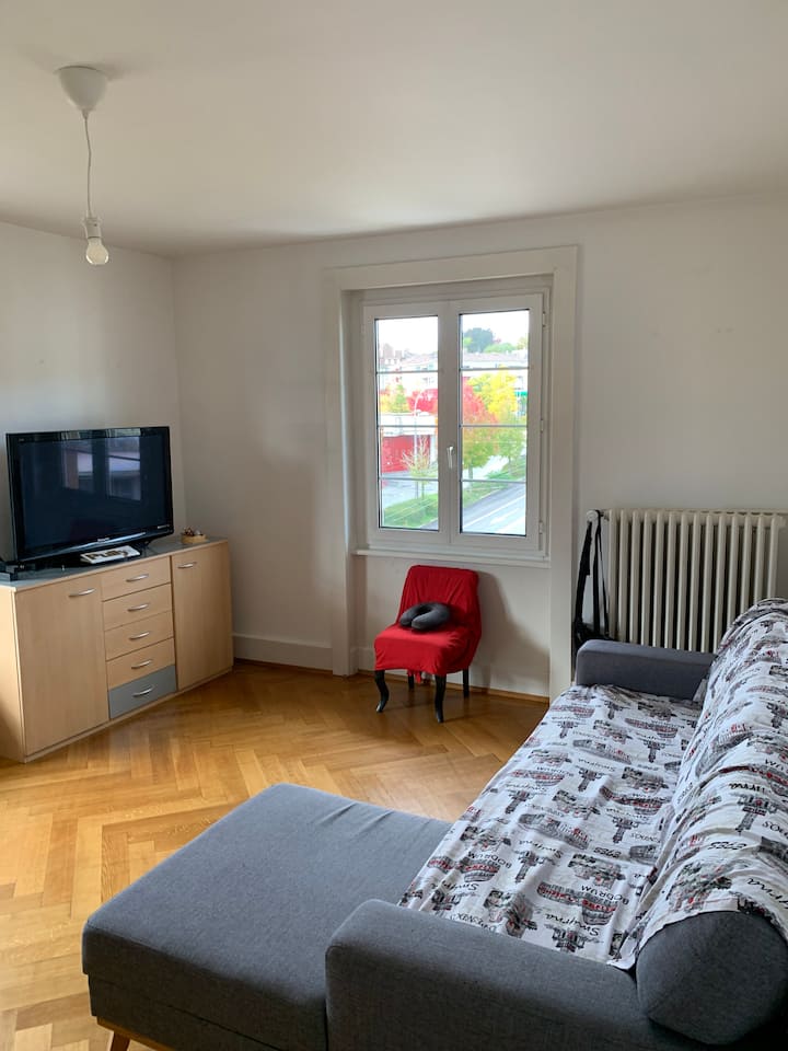 Bel Appart Avec Une Vue Imprenable Sur Le Lac - Lausanne