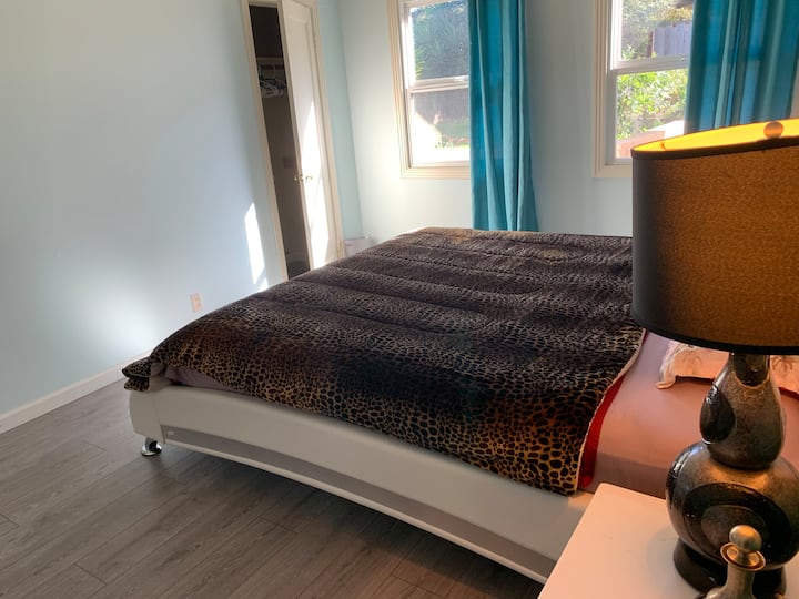 Spacious Modern Bedroom - San Mateo, CA
