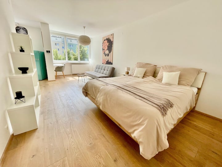 Stylish And Quiet Studio - Linz