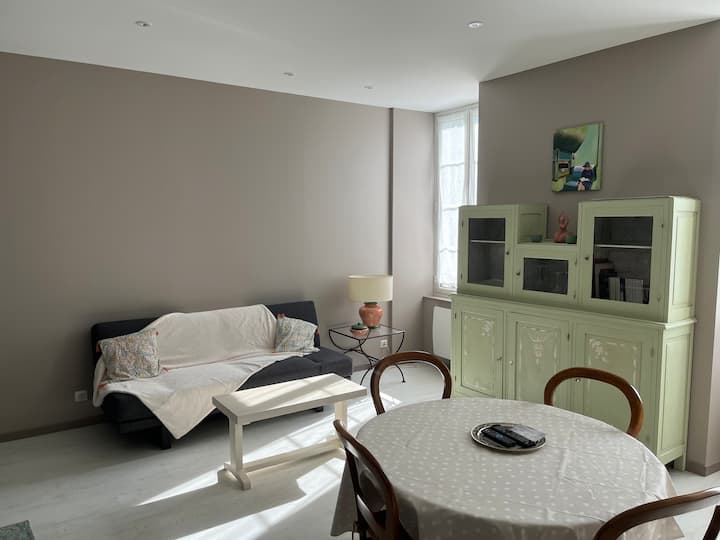 Superbe Appartement Plein Centre - Millau