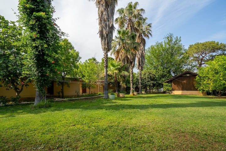 Tiny House In Fabulous Garden, 300m To The Seaside - Çıralı