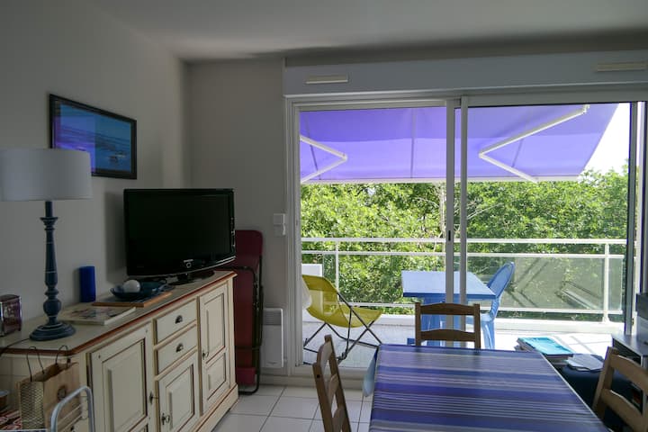 Appartement Calme Avec Piscine - Arcachon